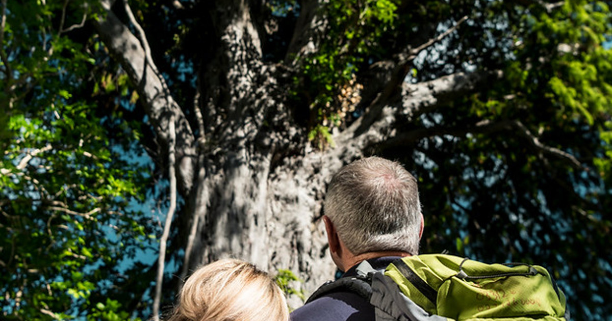 Great NZ Deals - Visit Marlborough This Year
