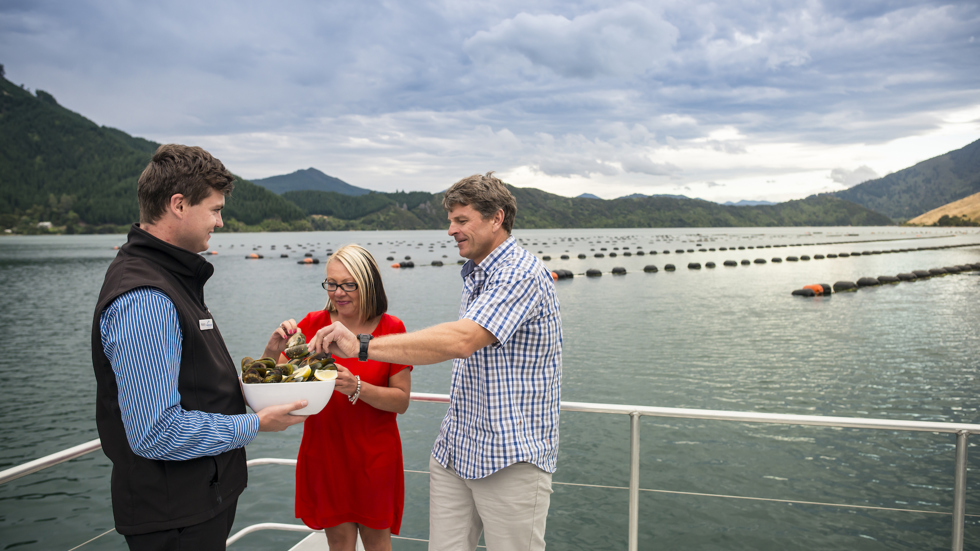 Seafood Odyssea Cruise - Picton and Marlborough Sounds - NZ