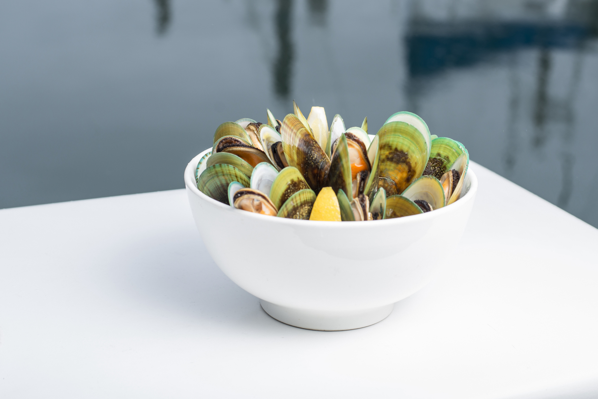 Greenshell Mussel Half-Day Cruise - Marlborough, New Zealand